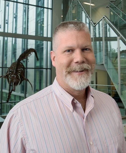 Studying How Whales Swapped Feet for Fins | The Mason Spirit | George ...