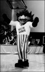 Go Green, Go Gold: A History of Mason Mascots | The Mason Spirit ...