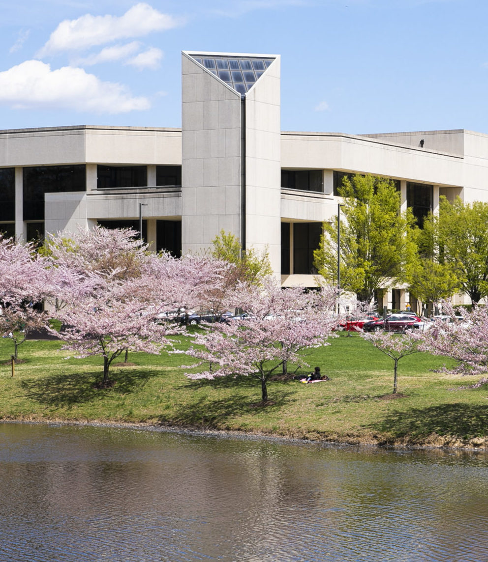Planting the Seeds of Success | The Mason Spirit | George Mason University